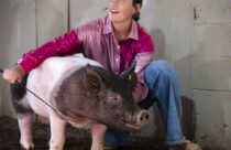 Albuquerque and New Mexico Weather Radar – KOAT Action 7 News - New ...